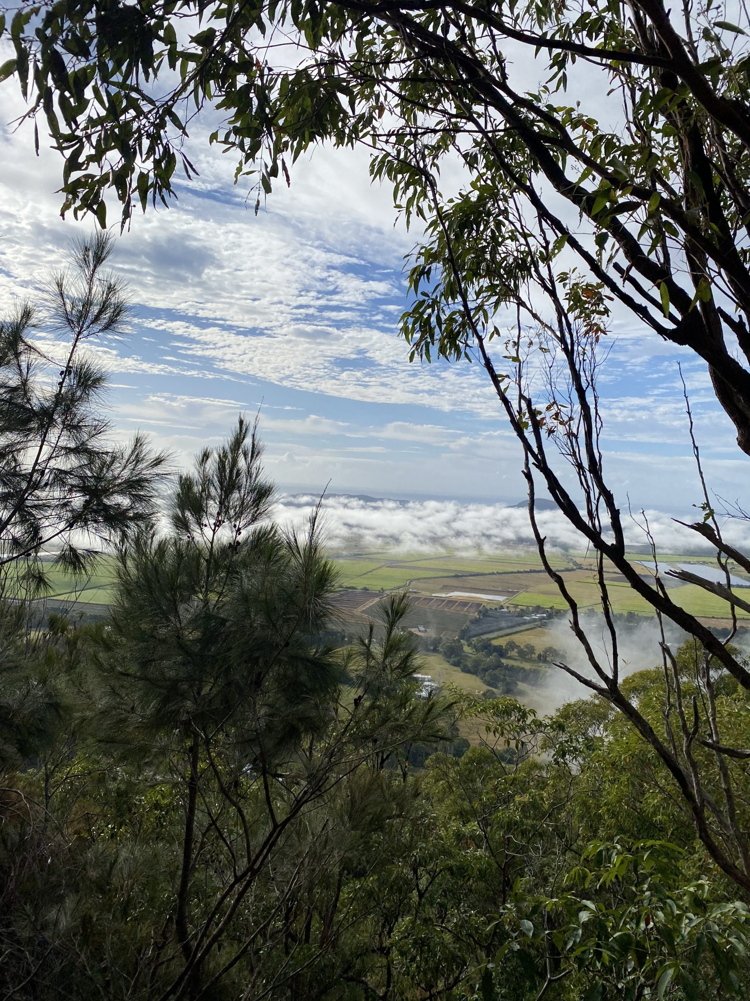 Mount Ninderry – Sunshine Coast Walks