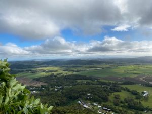 Mount Ninderry – Sunshine Coast Walks